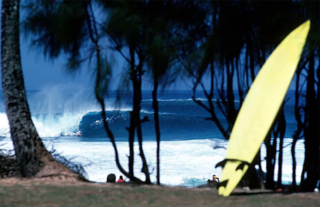 Surfing Oahu's Legendary North Shore Waves - Welcome to Hawaii! ☀️ 🏝
